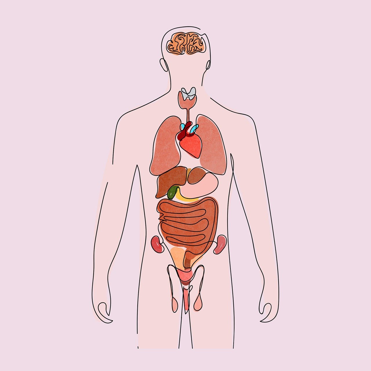 G2-Science-Human Body – Smartlen Education